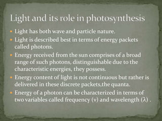 Light reaction in photosynthesis | PPTX