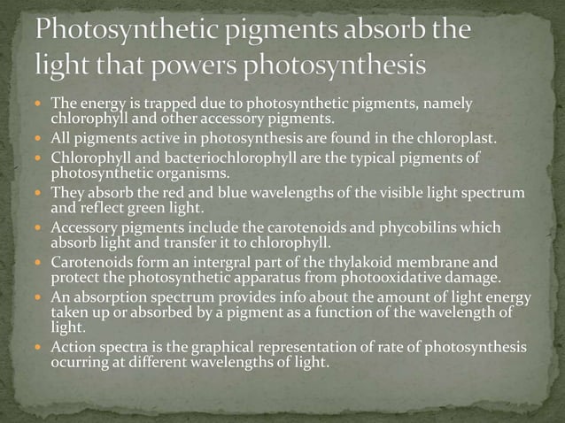 Light reaction in photosynthesis | PPTX | Chemistry | Science