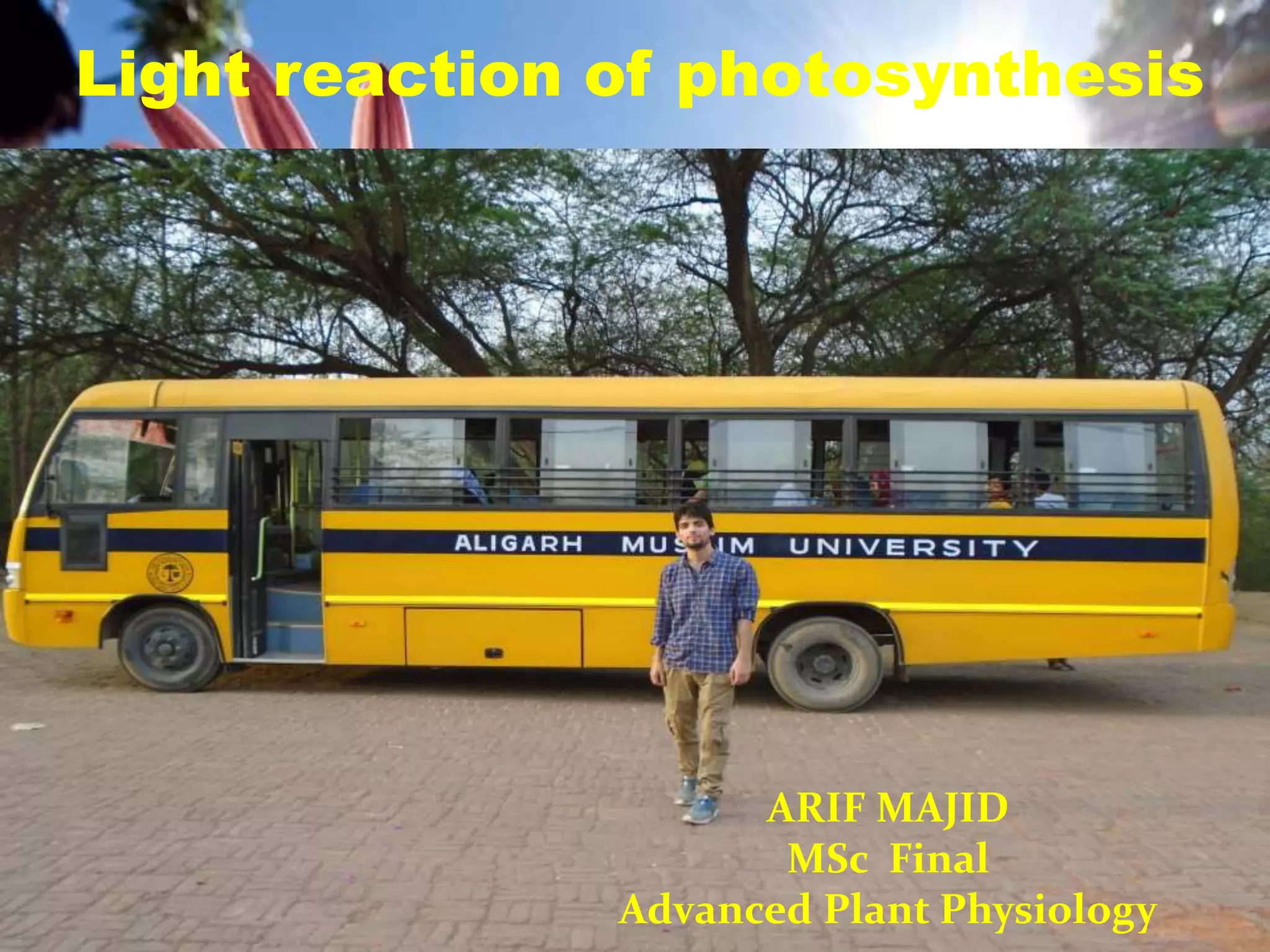 Light reaction of photosynthesis | PPTX