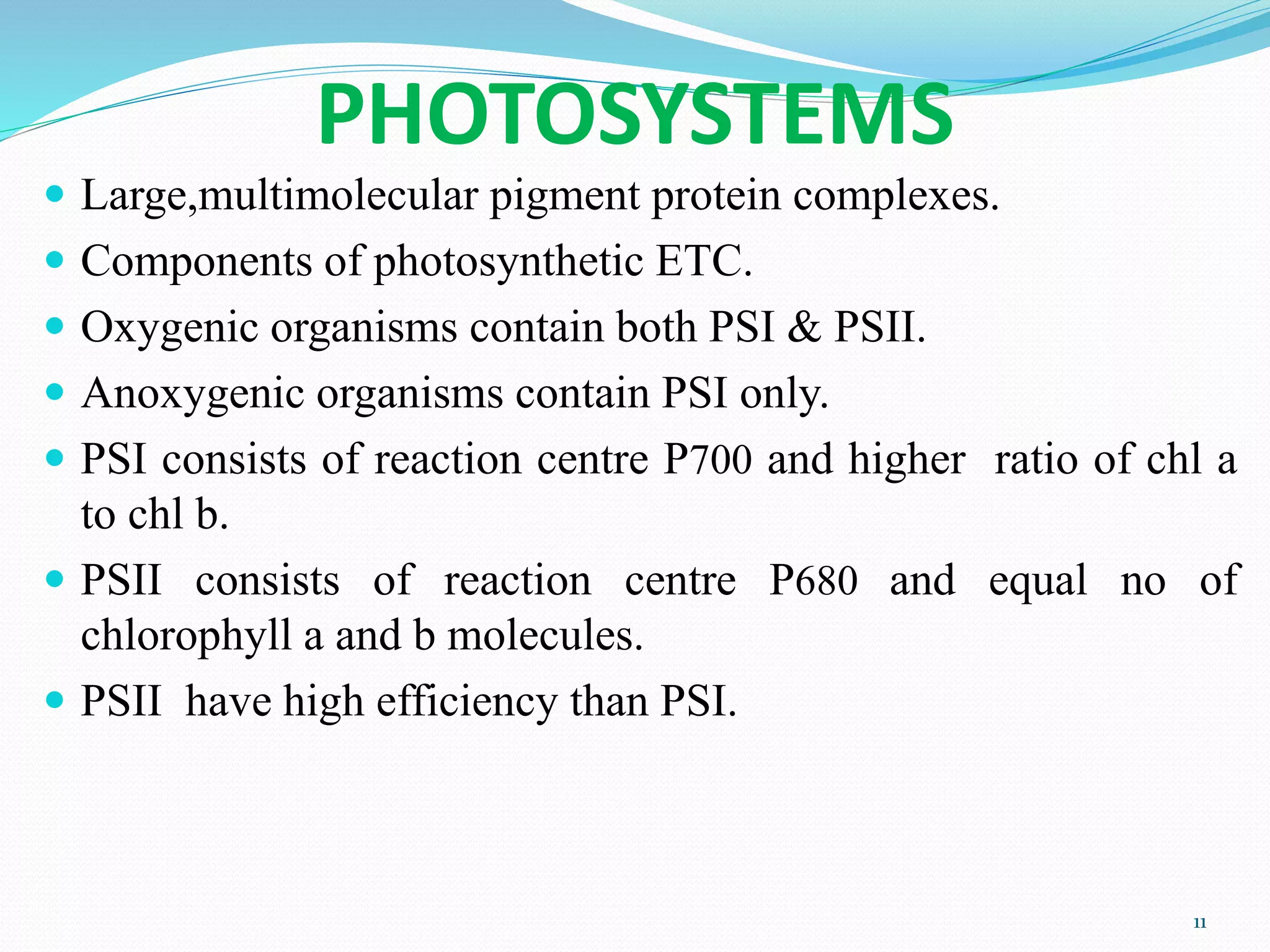 Light reaction of photosynthesis | PPTX