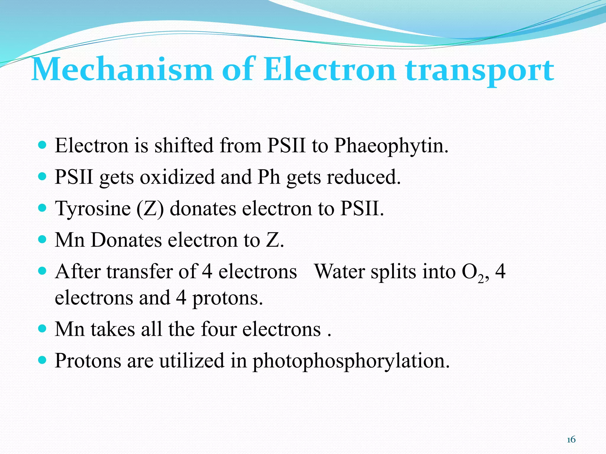 Light reaction of photosynthesis | PPTX
