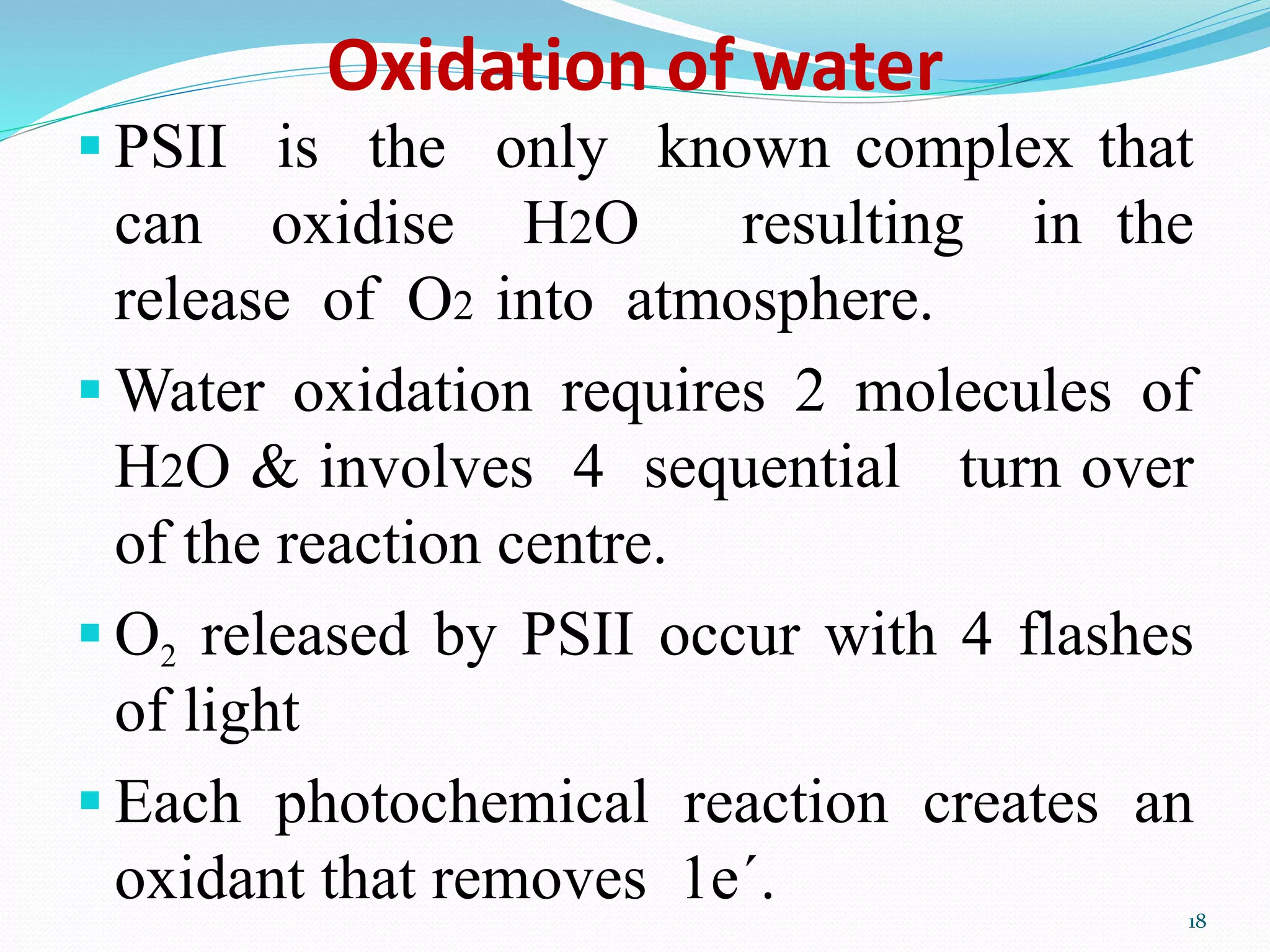 Light reaction of photosynthesis | PPTX