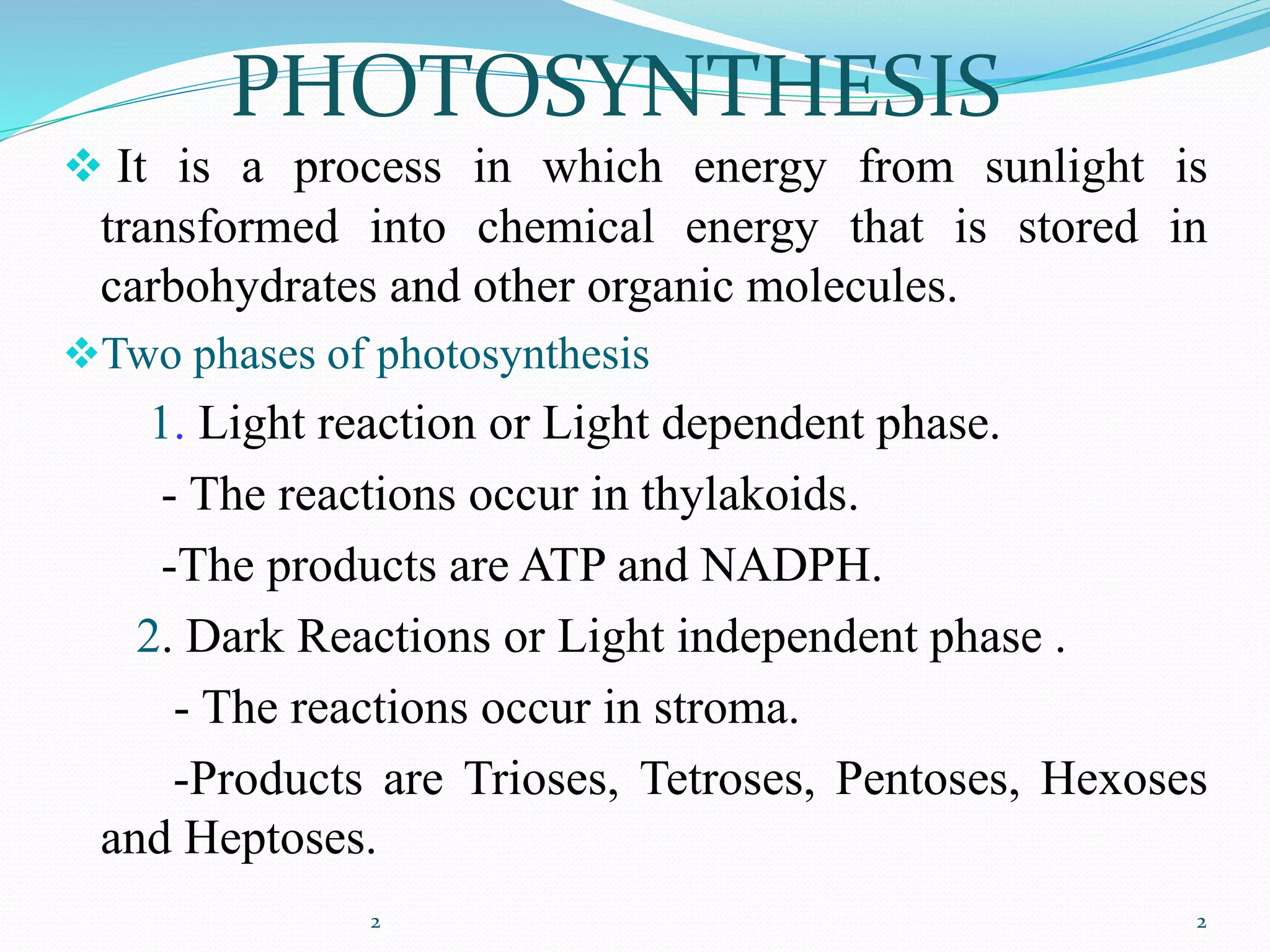 Light reaction of photosynthesis | PPTX
