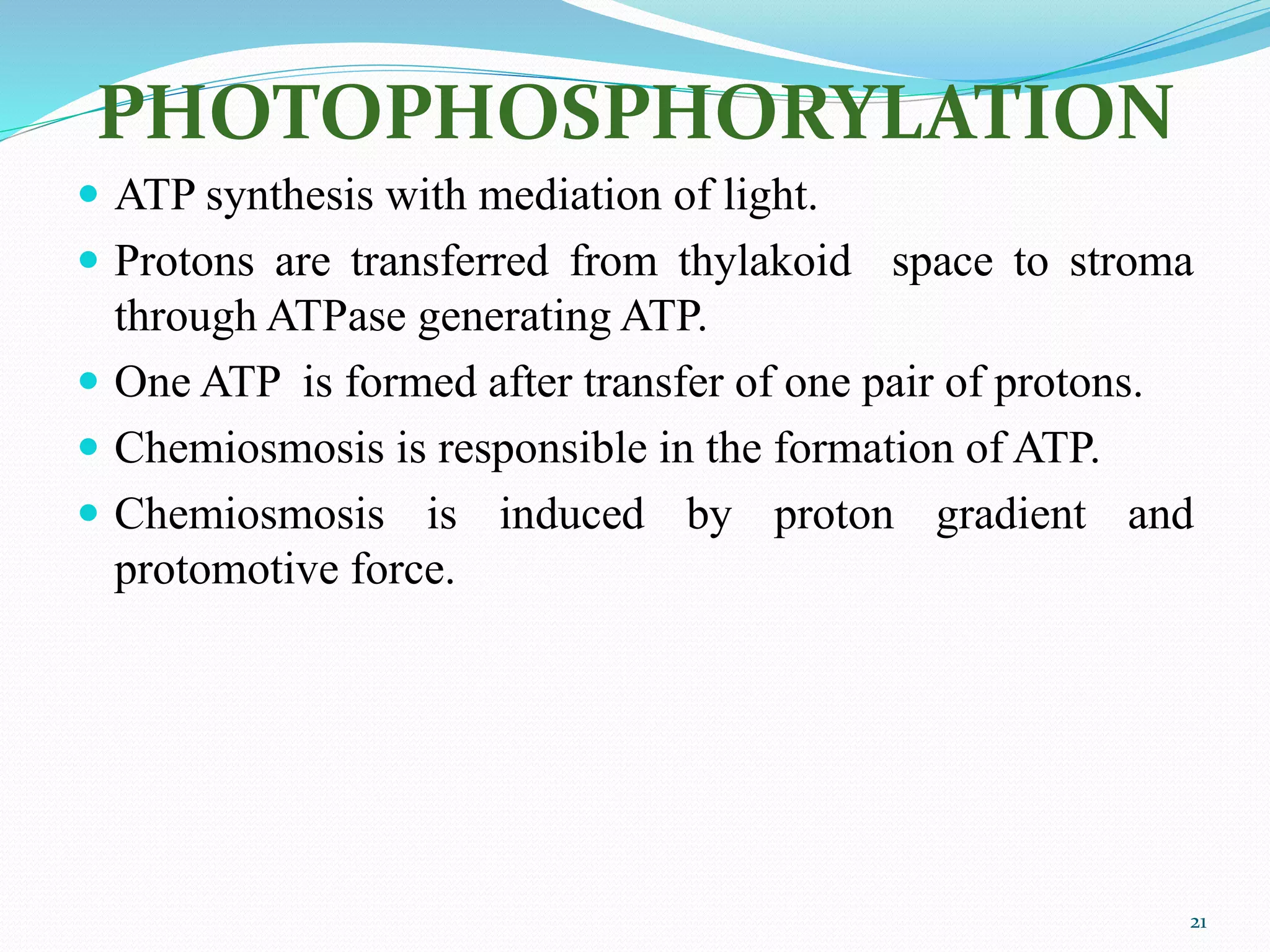 Light reaction of photosynthesis | PPTX