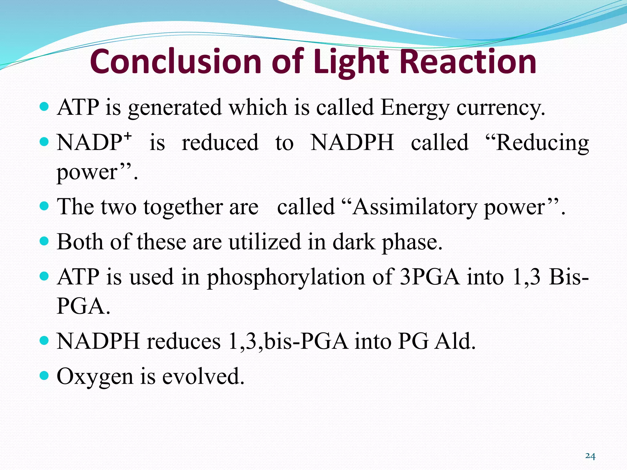 Light reaction of photosynthesis | PPTX