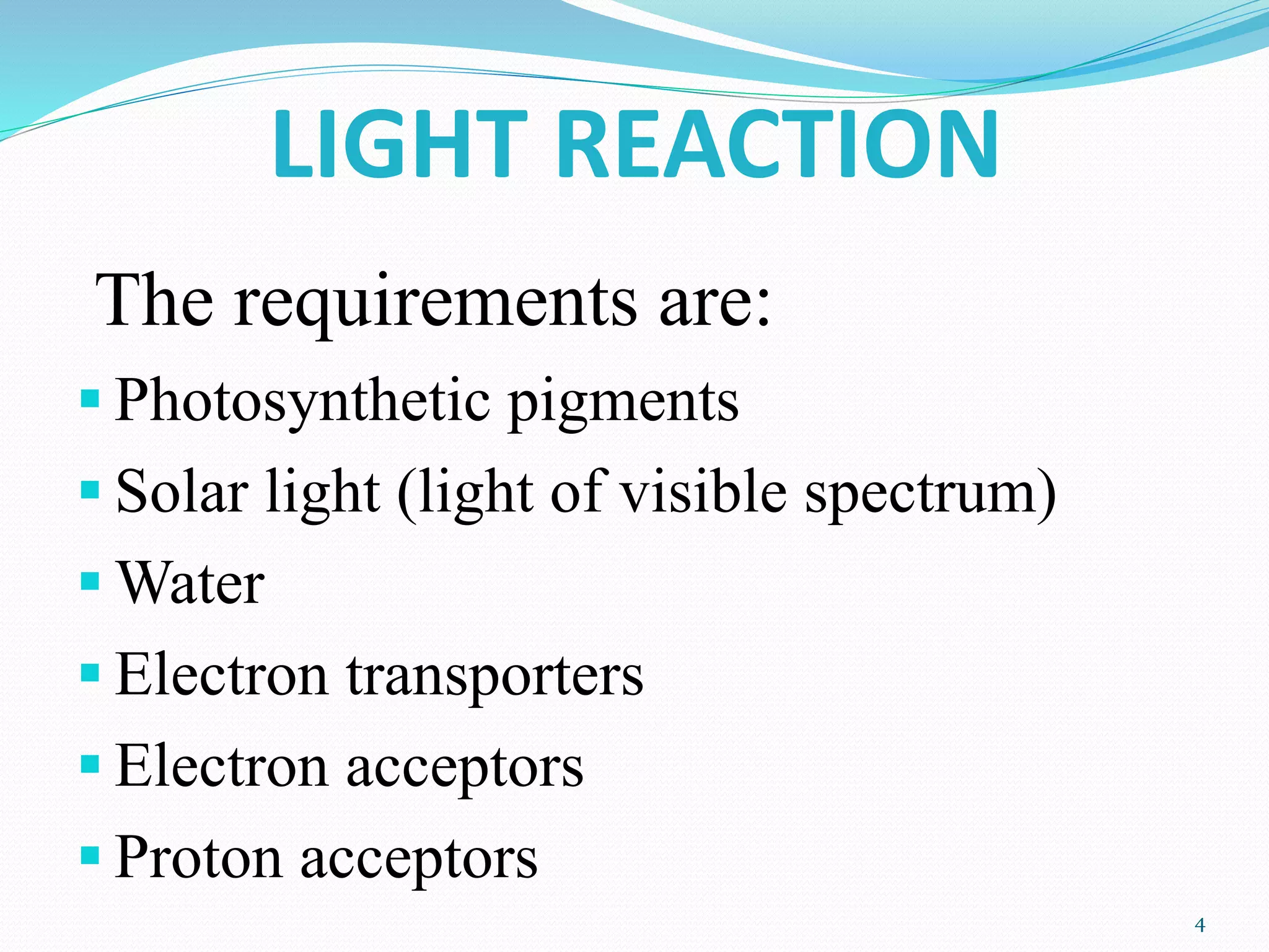 Light reaction of photosynthesis | PPTX