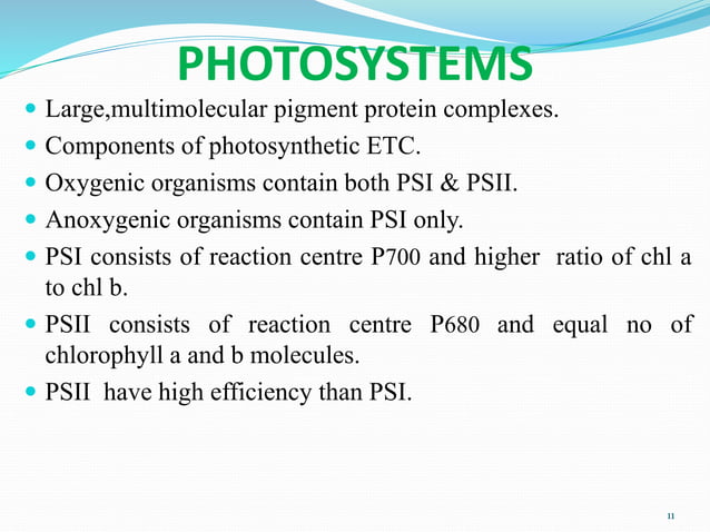 Light reaction of photosynthesis | PPTX | Chemistry | Science