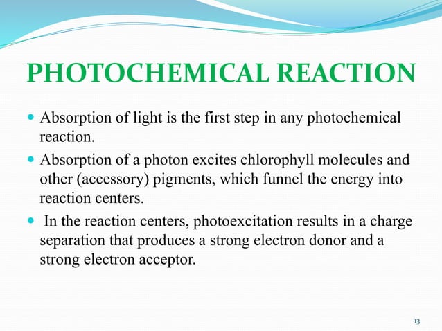 Light reaction of photosynthesis | PPTX | Chemistry | Science