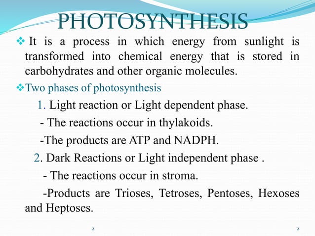 Light reaction of photosynthesis | PPTX | Chemistry | Science