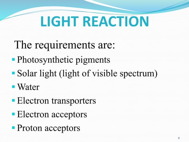 Light reaction of photosynthesis | PPTX | Chemistry | Science