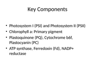 LightReaction of photosynthesis z scheme2.pptx