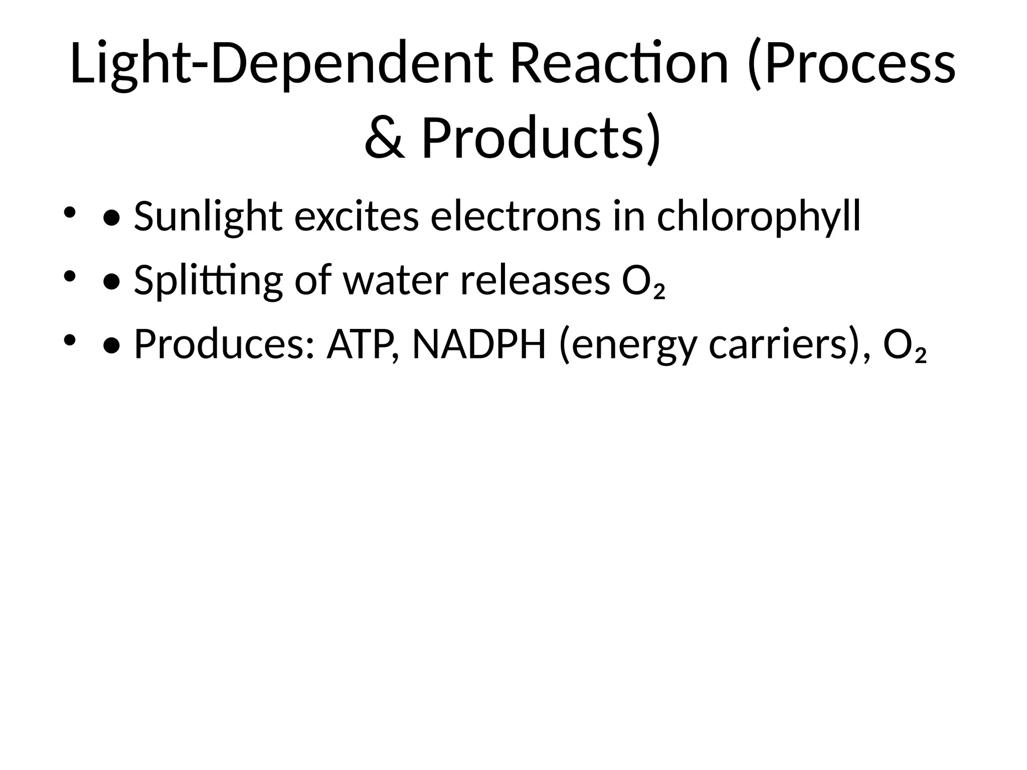Light_Reactions_Presentation_biology.pptx
