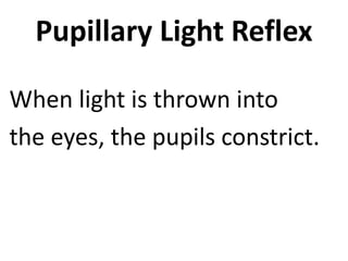 Light reflex | PPTX | Eye and Vision Conditions | Diseases and Conditions