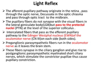 Light reflex | PPTX