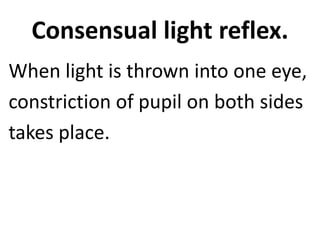 Light reflex | PPT