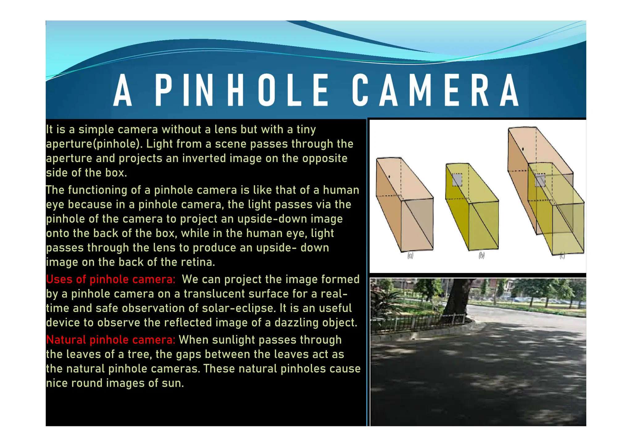 Lights & Shadows presentation for school kids | PDF