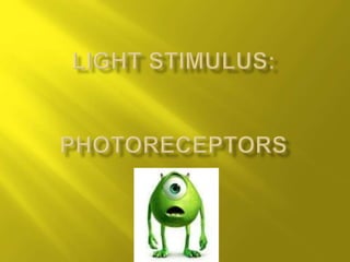 Light stimulus | PPTX