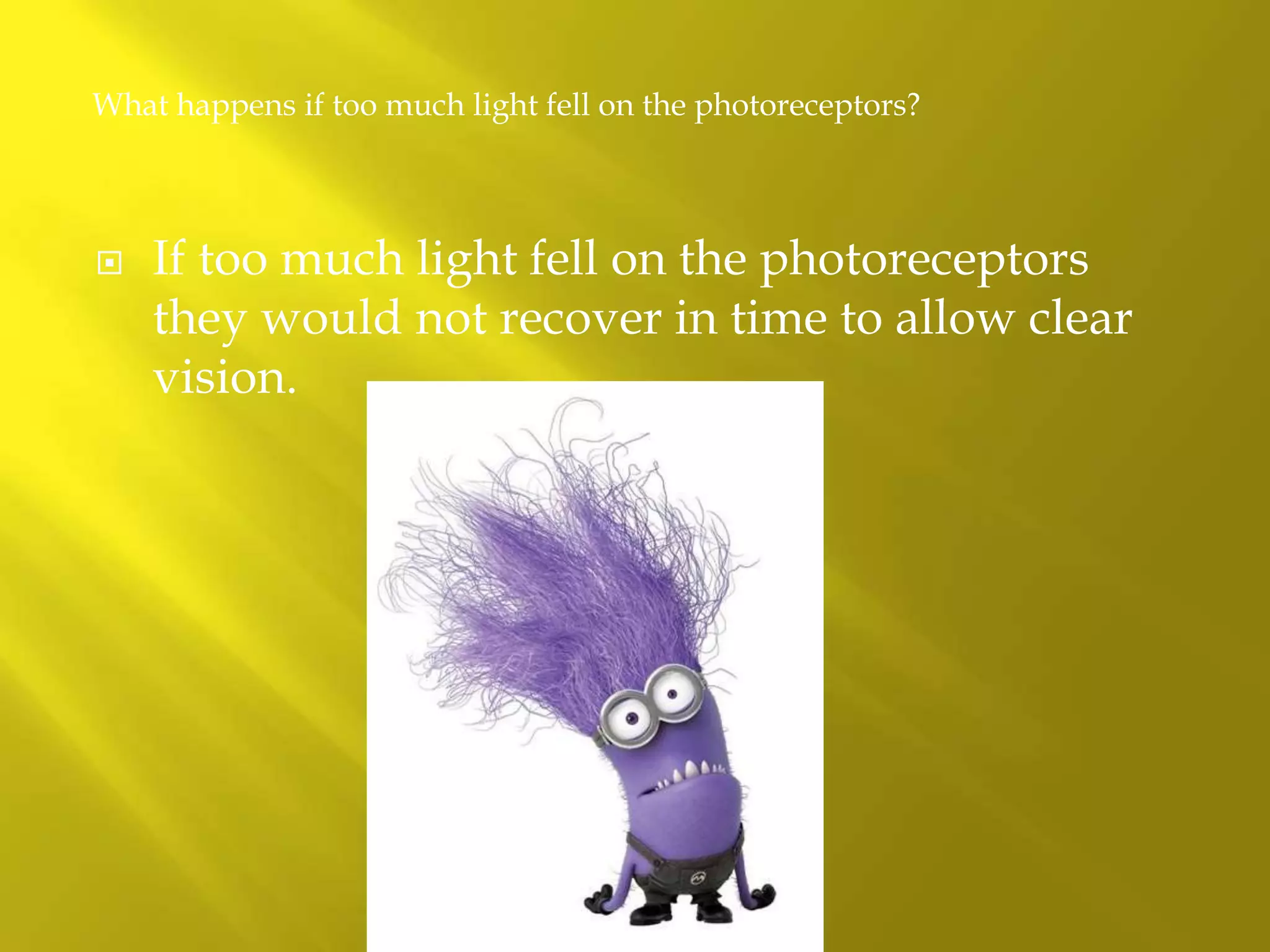 Light stimulus 2 | PPT