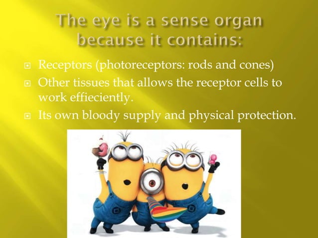 Light stimulus 2 | PPT