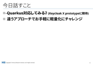 Lightweight Keycloak | PDF | Programming Languages | Computing