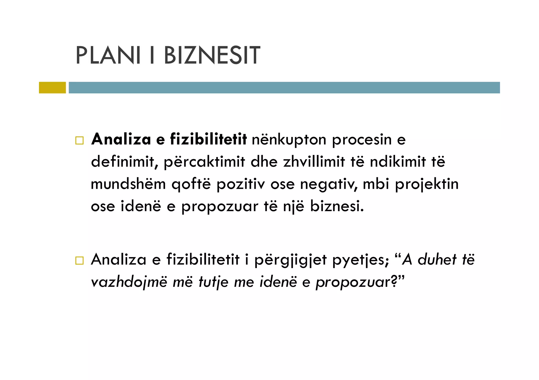Plani i Biznesit | PDF