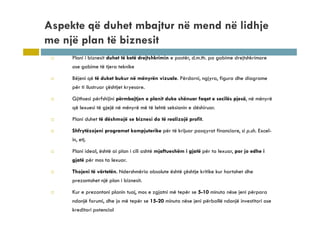 Plani i Biznesit | PDF