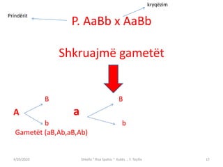 Ligjet e mendelit , Zbulimi i trashegimise | PPTX
