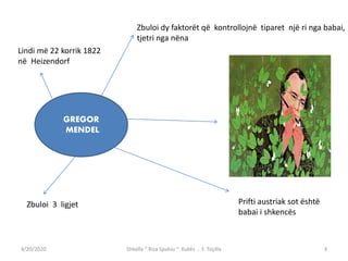 Ligjet e mendelit , Zbulimi i trashegimise | PPTX