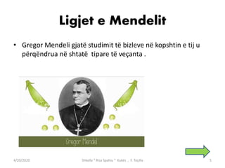 Ligjet e mendelit , Zbulimi i trashegimise | PPTX