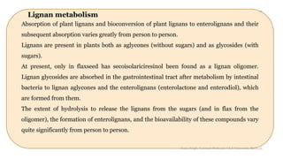 Lignans | PPTX