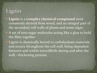 Lignin In Plants