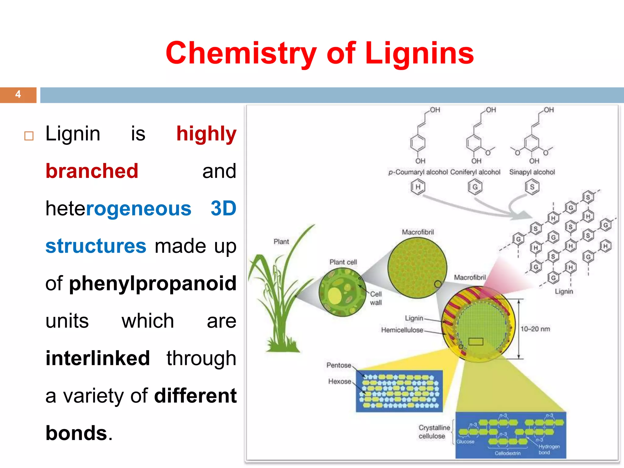 Composition and degradation of lignin | PPT
