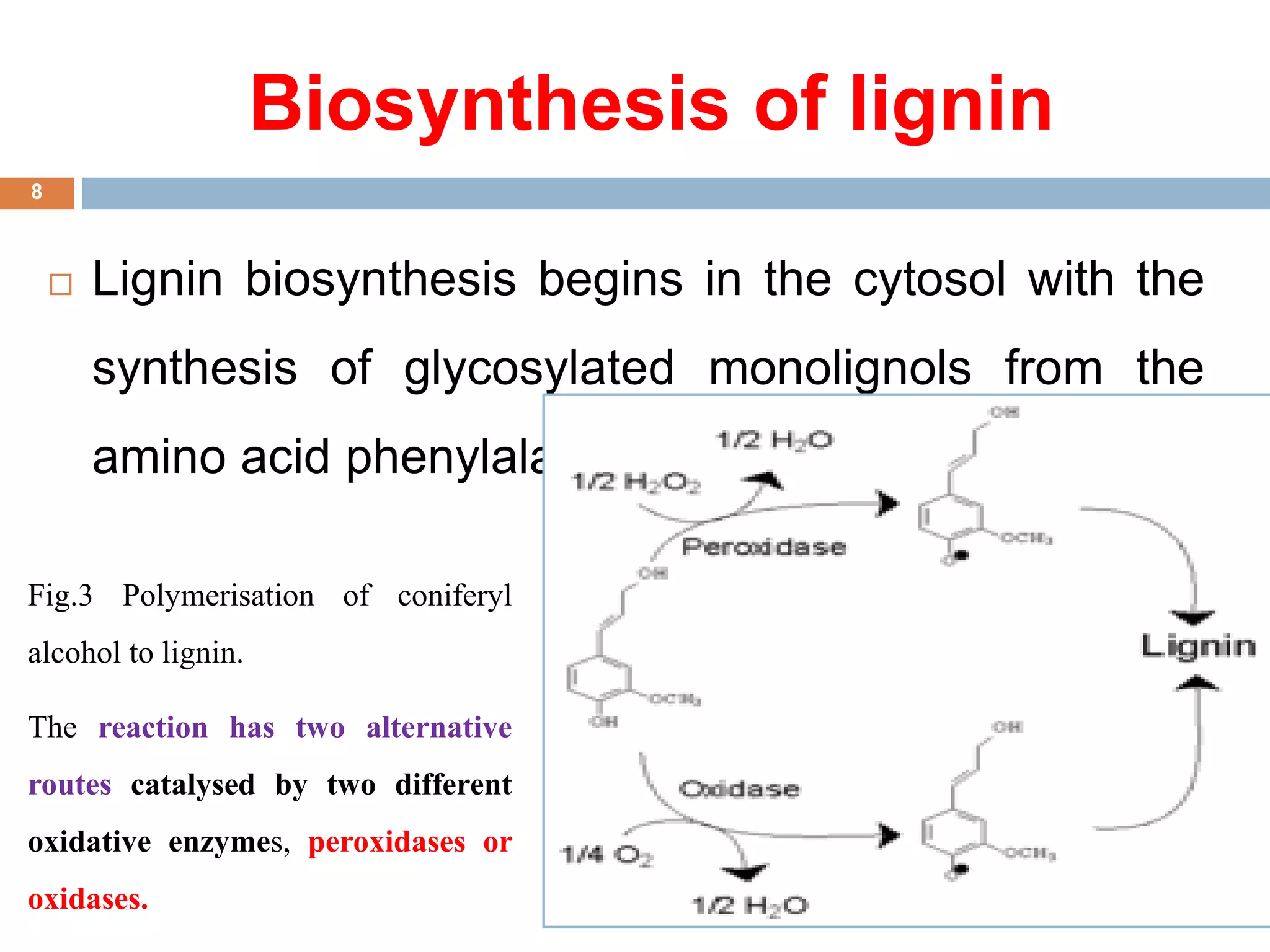 Composition and degradation of lignin | PPT