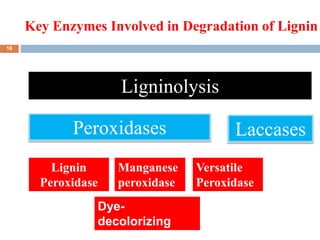 Composition and degradation of lignin | PPT