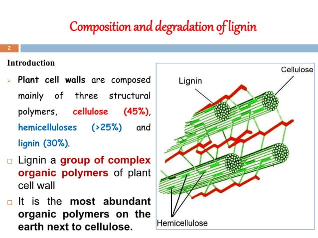 Composition and degradation of lignin | PPT | Chemistry | Science