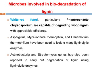 Composition and degradation of lignin | PPT