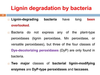 Composition and degradation of lignin | PPT