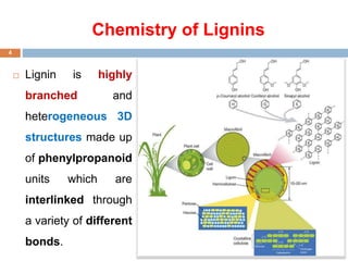Lignin Structure 3d