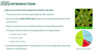 Lignin, types, potential, application and market | PPT