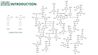 Lignin, types, potential, application and market | PPT