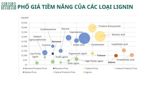 Lignin, types, potential, application and market | PPT