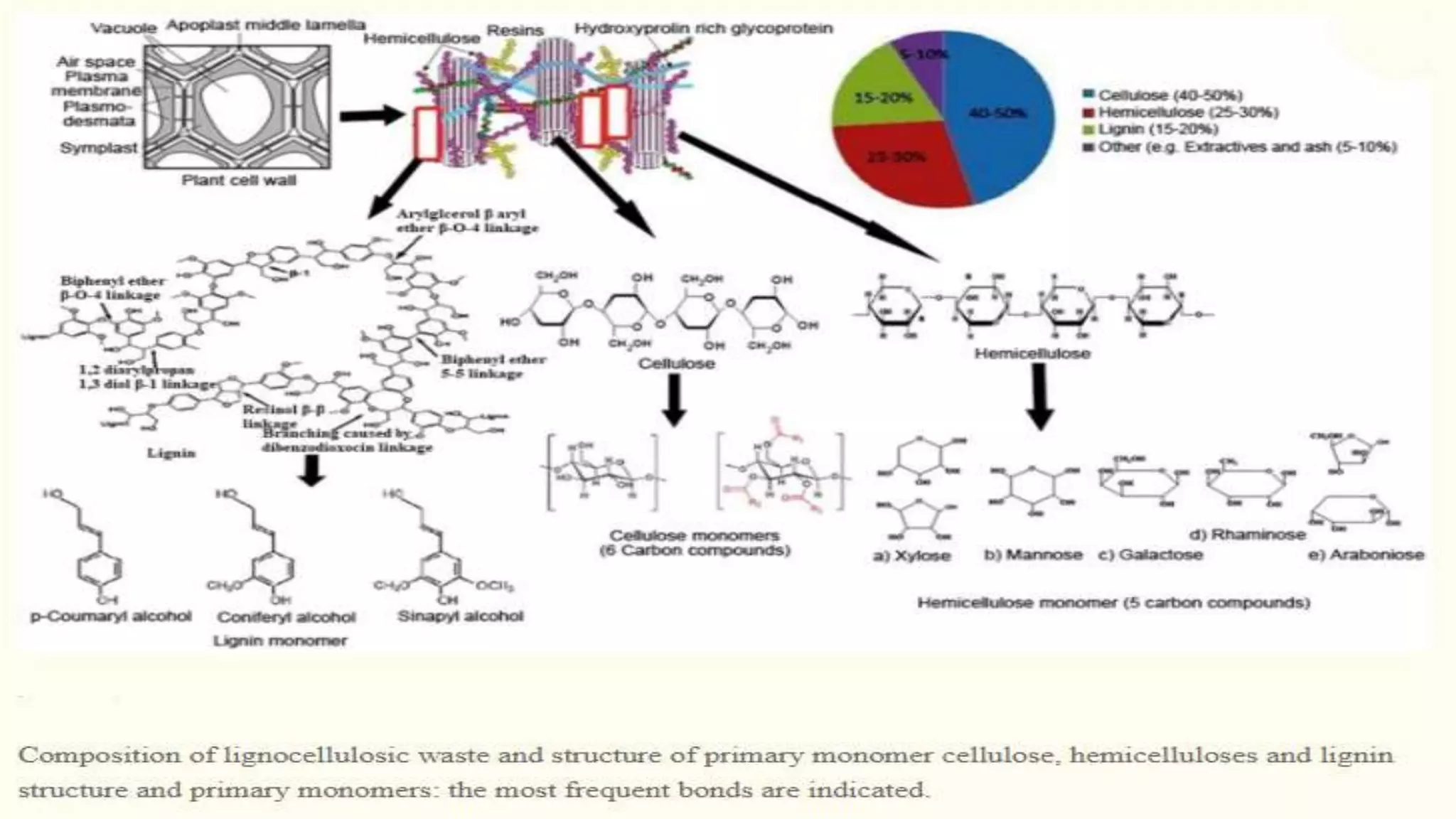 Lignolytic fungi, magical fungi, kingdom fungi/ soil enzyme generating ...