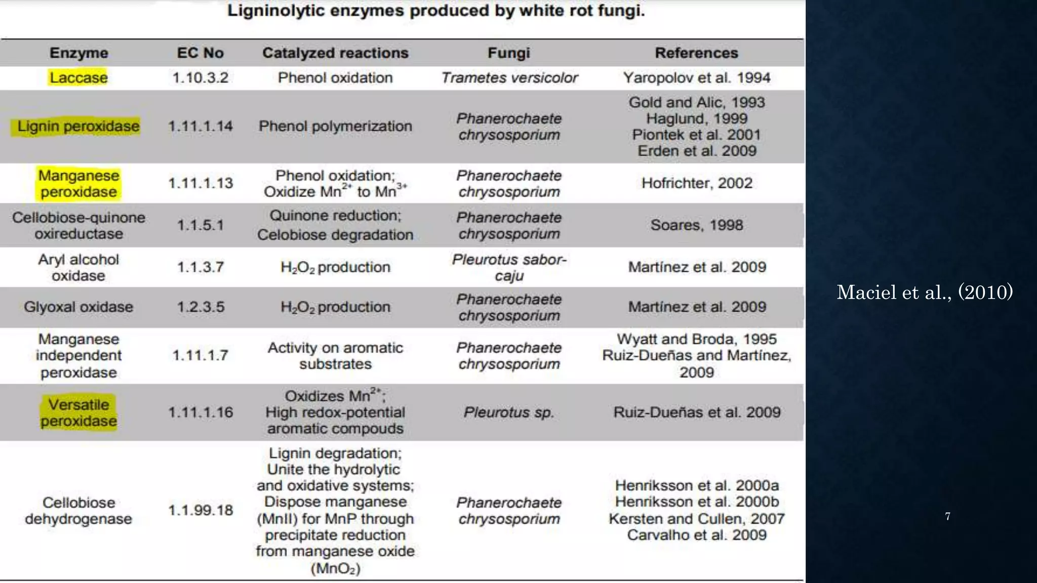 Lignolytic fungi, magical fungi, kingdom fungi/ soil enzyme generating ...