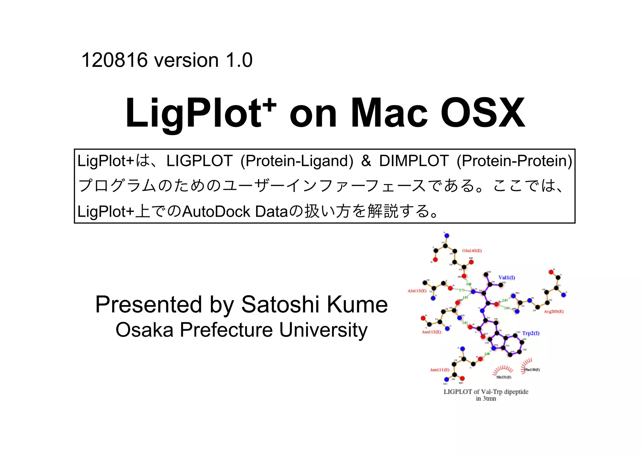Ligplot+_japanese_ver.1.0 | PDF