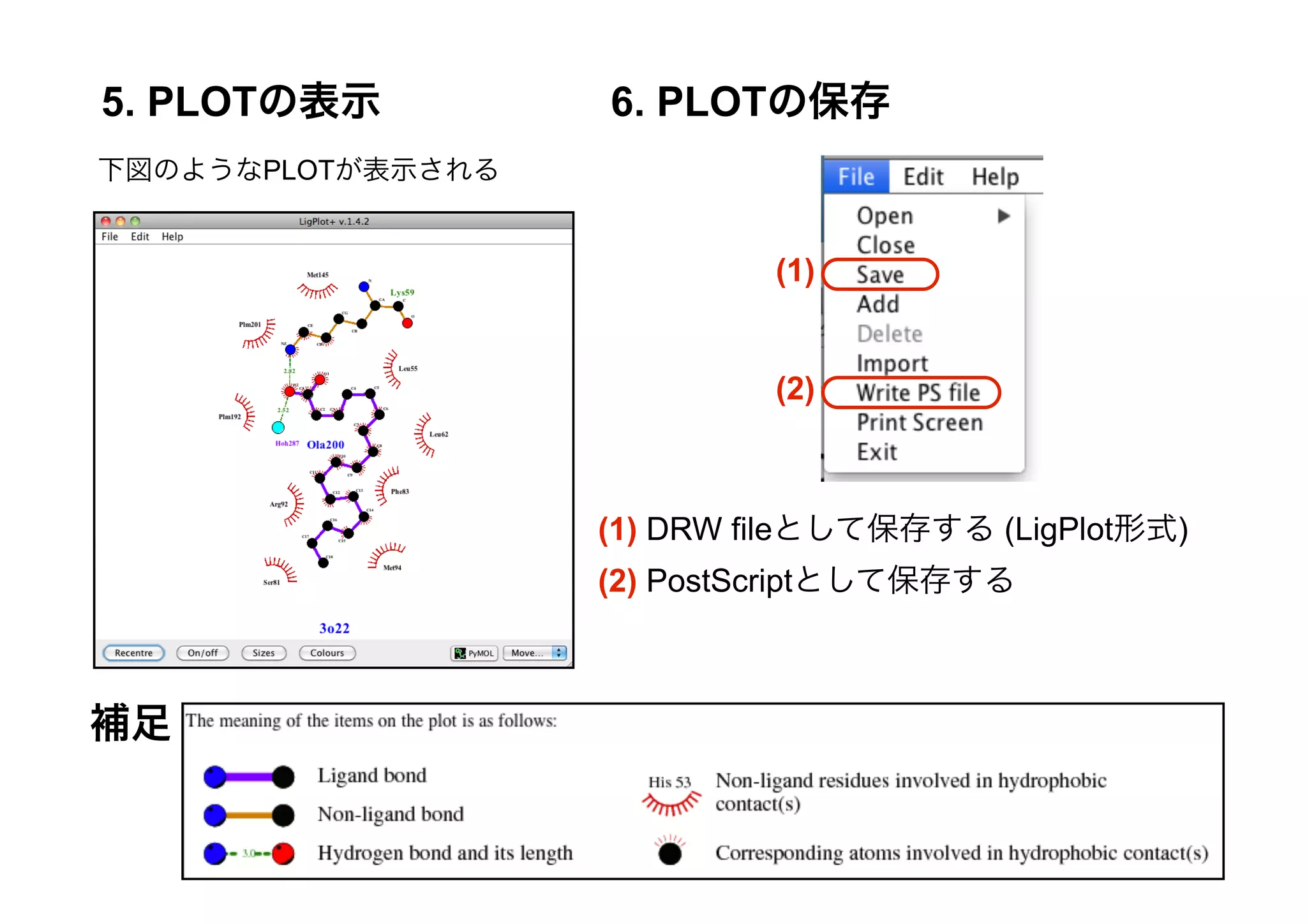 Ligplot+_japanese_ver.1.0 | PDF