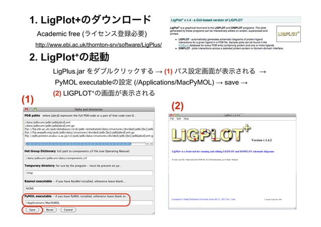 Ligplot+_japanese_ver.1.0 | PDF | Chemistry | Science