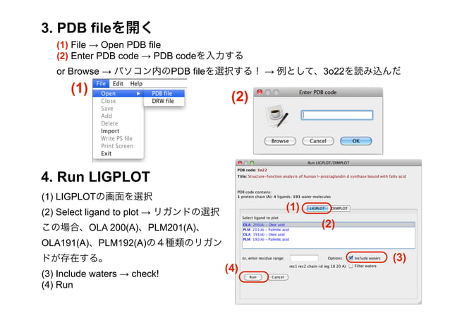 Ligplot+_japanese_ver.1.0 | PDF | Chemistry | Science