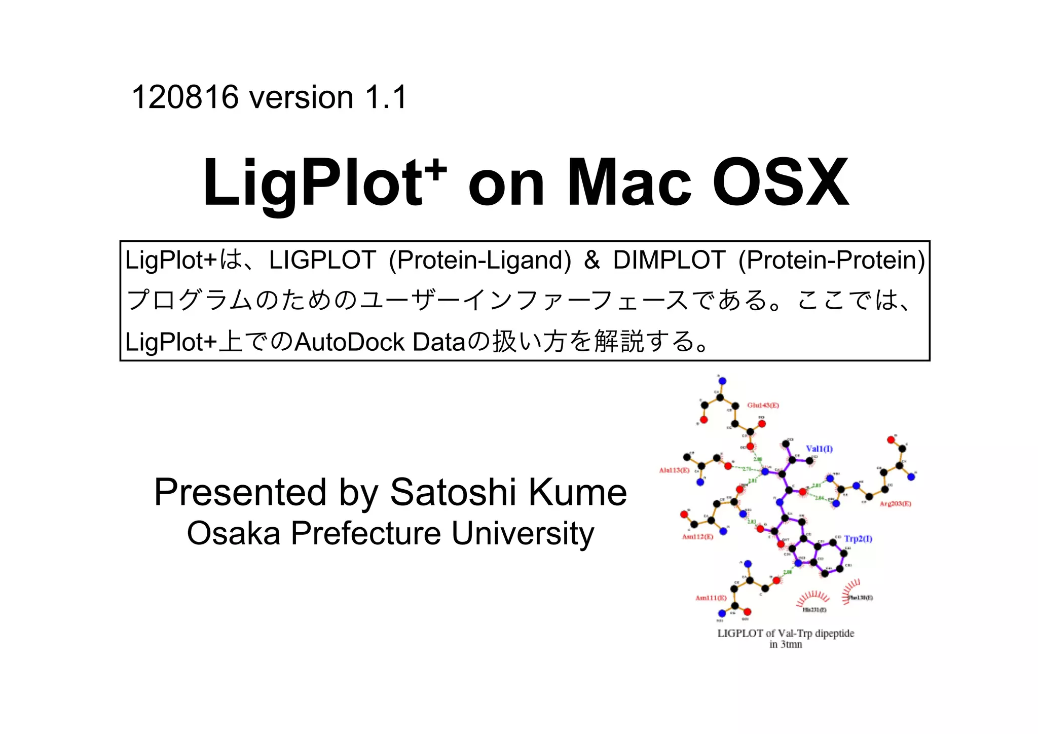 Ligplot+_japanese_ver.1.1 | PDF