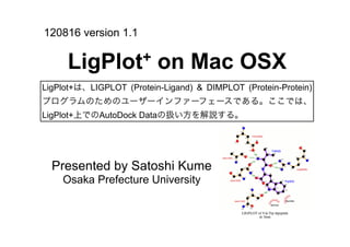 Ligplot+_japanese_ver.1.1 | PDF