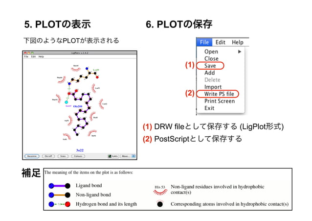 Ligplot+_japanese_ver.1.1 | PDF | Chemistry | Science
